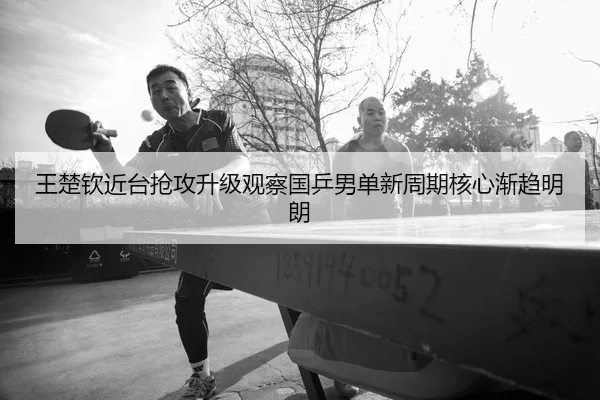 王楚钦近台抢攻升级观察国乒男单新周期核心渐趋明朗 - 斗鱼